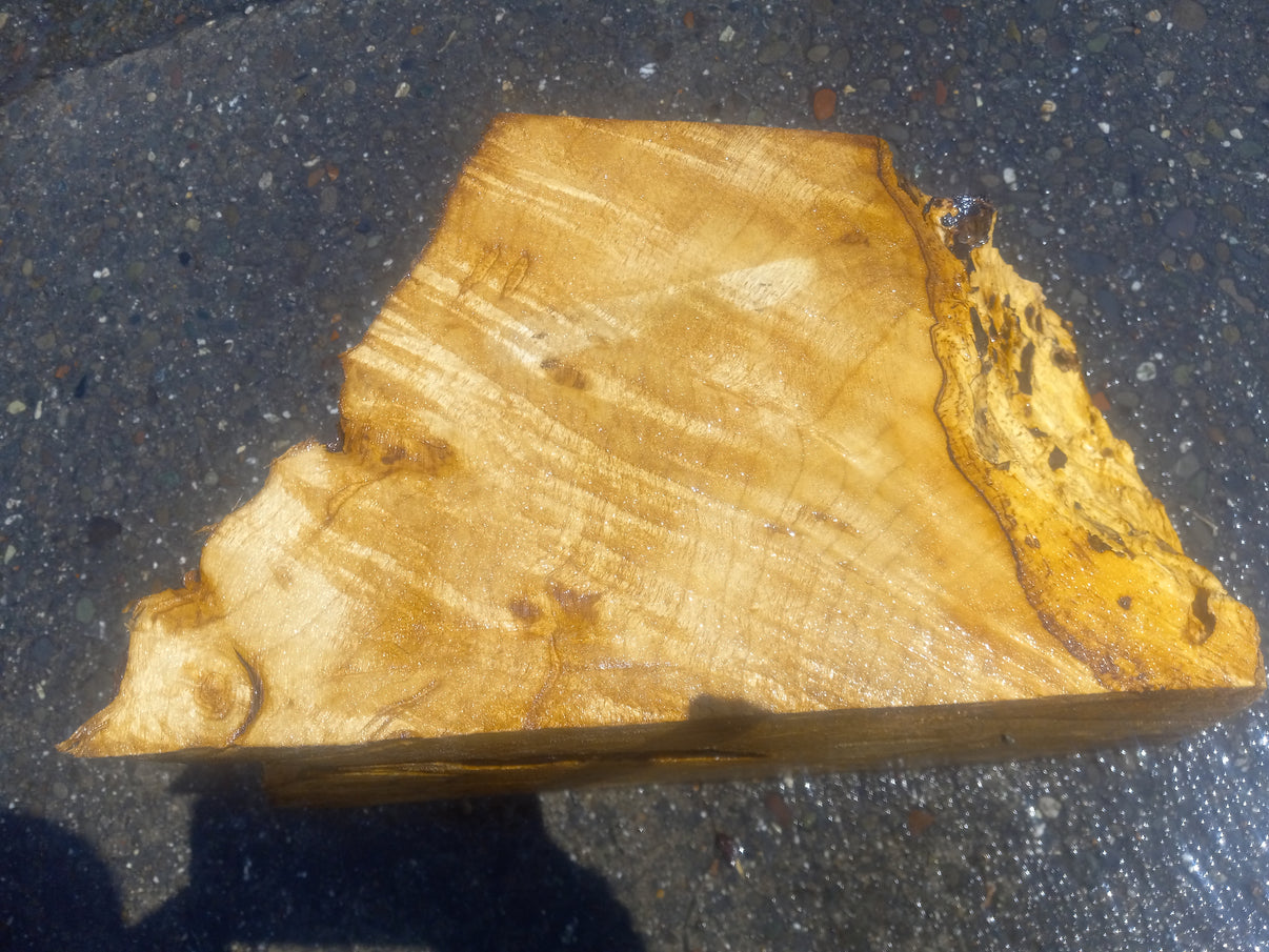 Myrtle burl | DIY wood crafts | bowl turning | craft wood | bl5072 ...