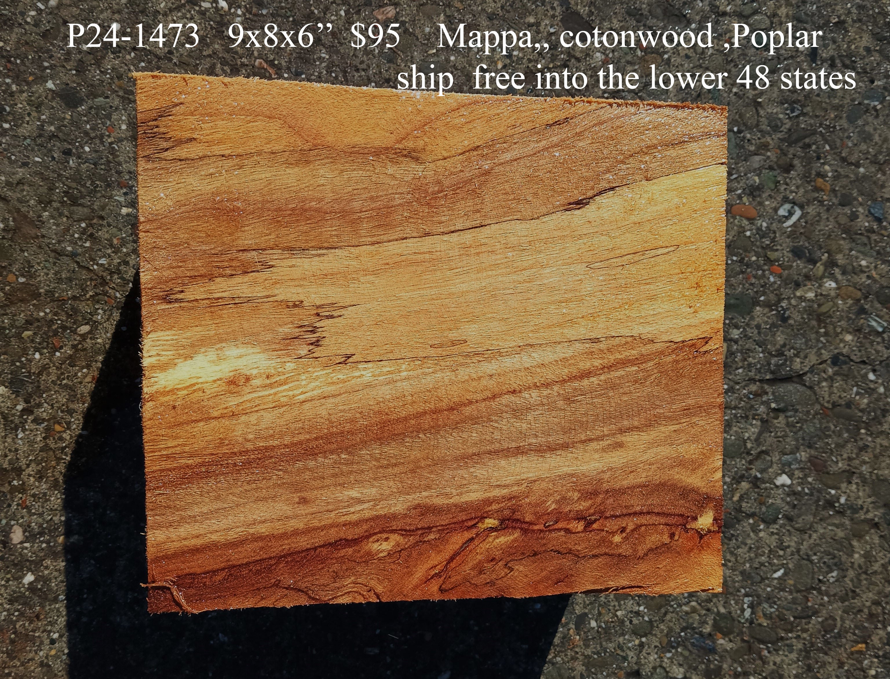 Poplar Block | Turning | DIY Craft Wood | P24-1473 – Redwood Burl Source